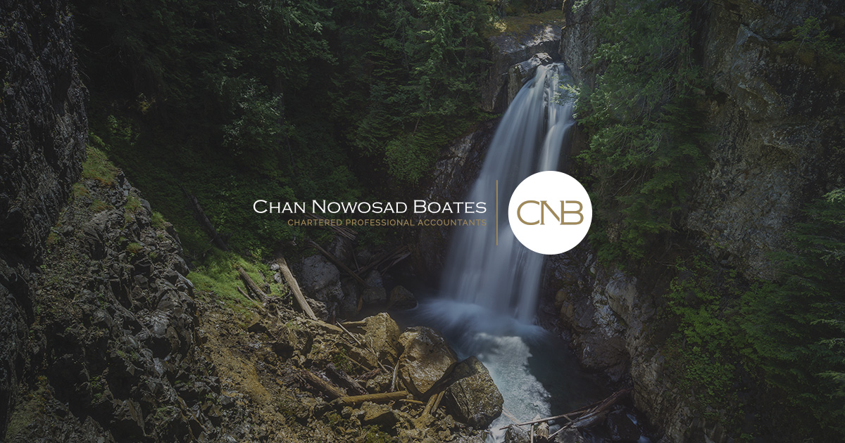 Meet Our Partners - Chan Nowosad Boates